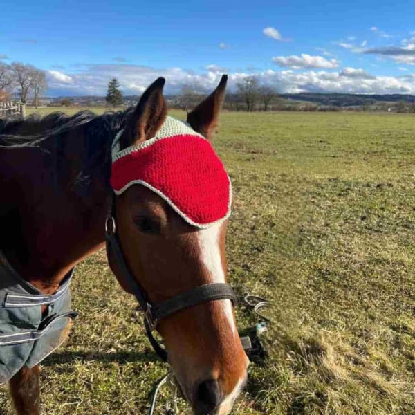 16+ Horse Bonnet Crochet Patterns For the Equestrian in Your Life