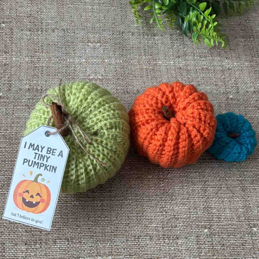 Printable Positive Pumpkin Tags for Crochet Gifts (PDF)