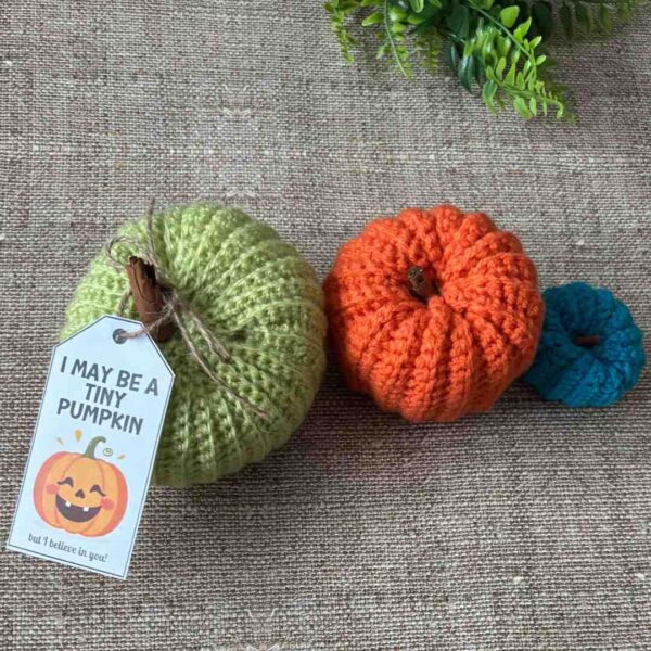 Printable Positive Pumpkin Tags for Crochet Gifts (PDF)