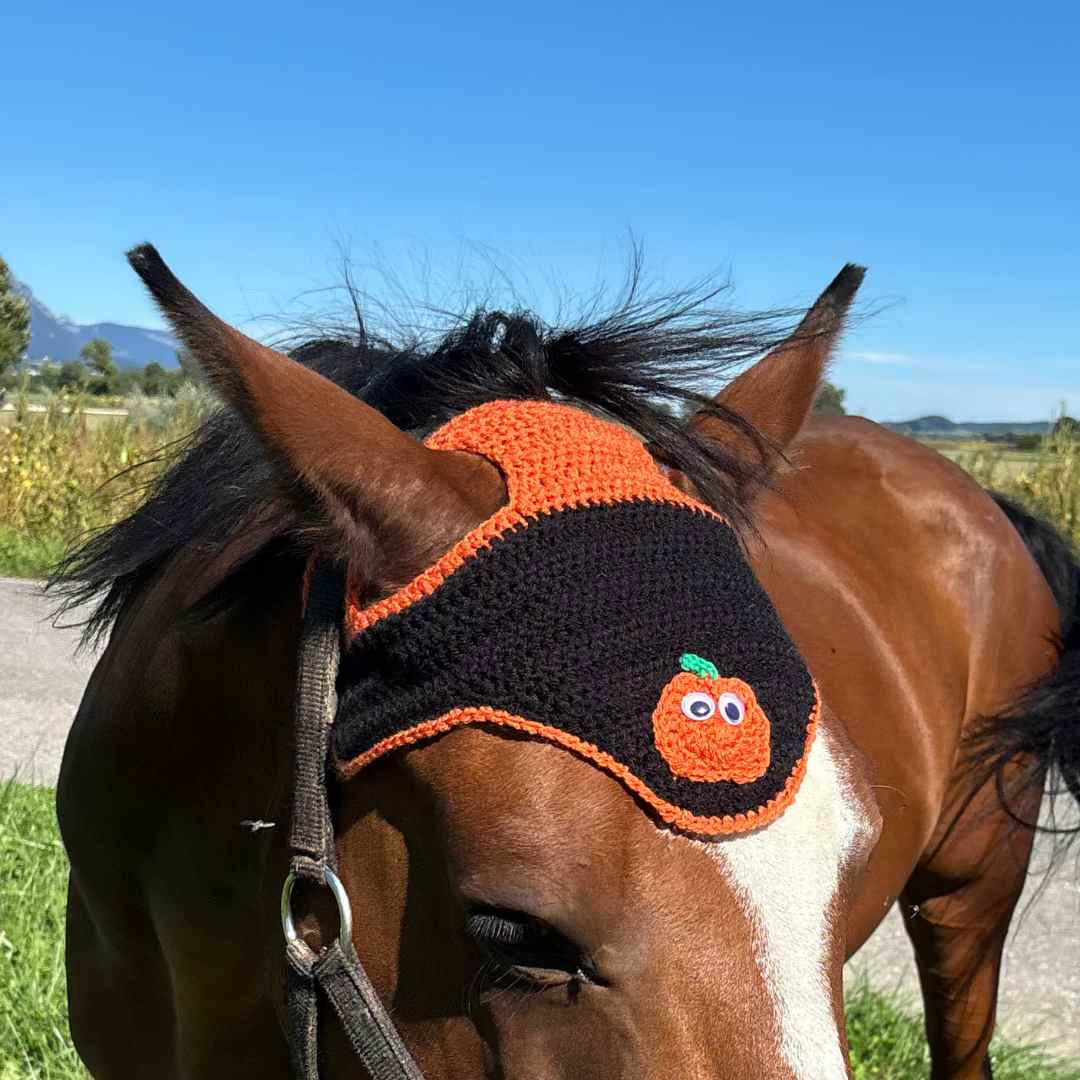 16+ Horse Bonnet Crochet Patterns For the Equestrian in Your Life