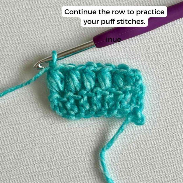 How to Crochet the Puff Stitch for Beginners (Step by Step Tutorial ...