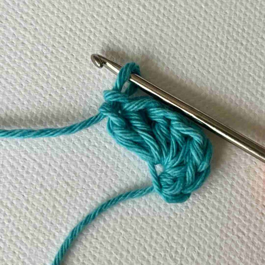 Spiral Seashell Crochet Pattern (Using Fibonacci Sequence)